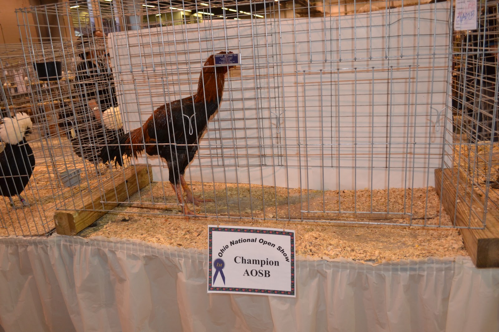 Ohio National Poultry Show: Ohio National Winner Photos