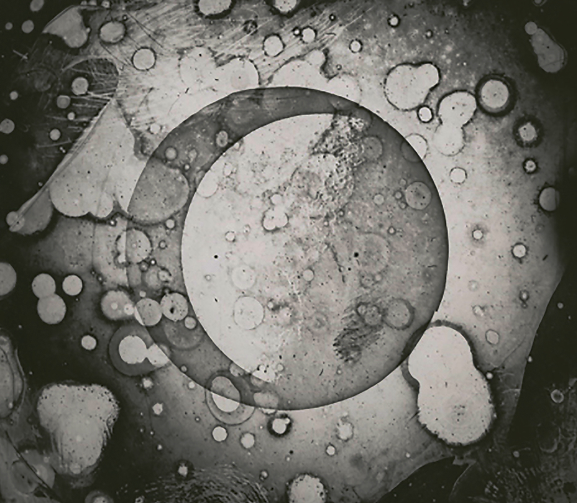 Althouse: Picturing the surface of the moon in 1879.