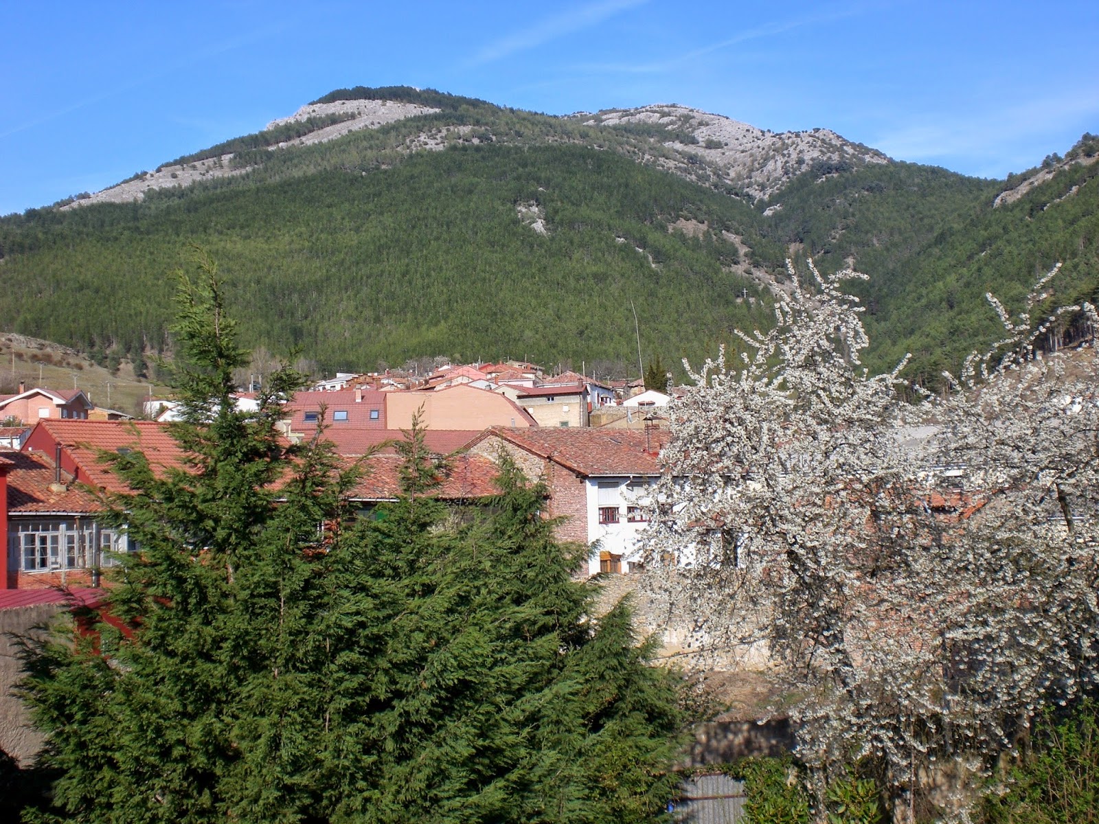 Miscelánea histórica de Cistierna y Montaña Oriental Leonesa ...