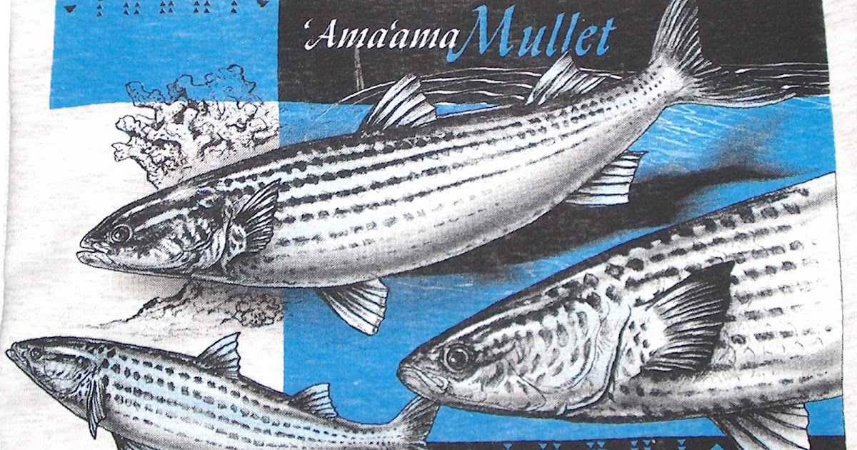 Amaama Fish
