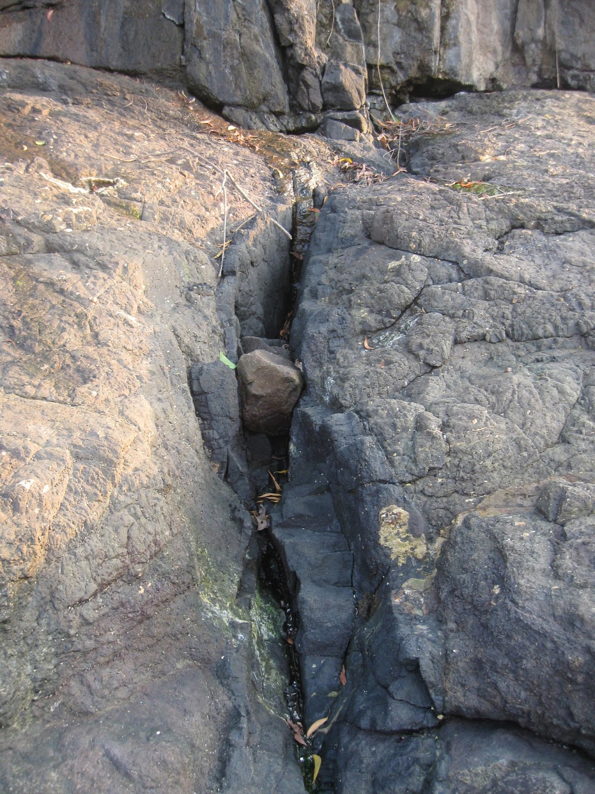 Rapid Uplift: Field Photos: Dikes At Korlai, India West Coast