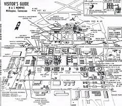 Lion Tales: The Making Of A Chief