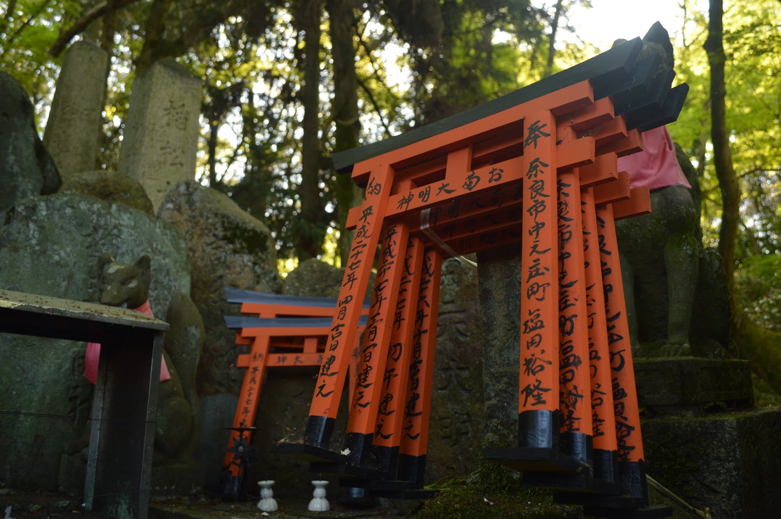 Adventures in Japan: Thousands of Tori