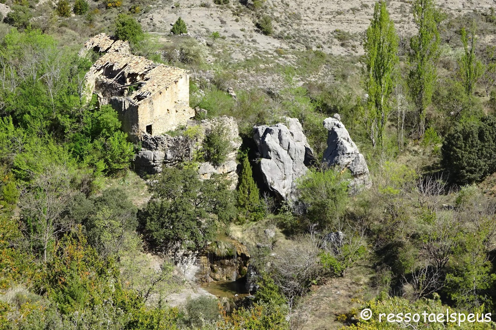 res sota els peus: Ruta circular al roc de Galliner, a la muntanya d'Alinyà