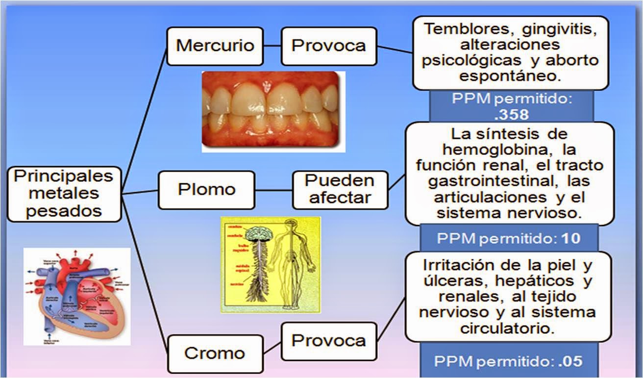 metales toxicos para la salud: Enfermedades