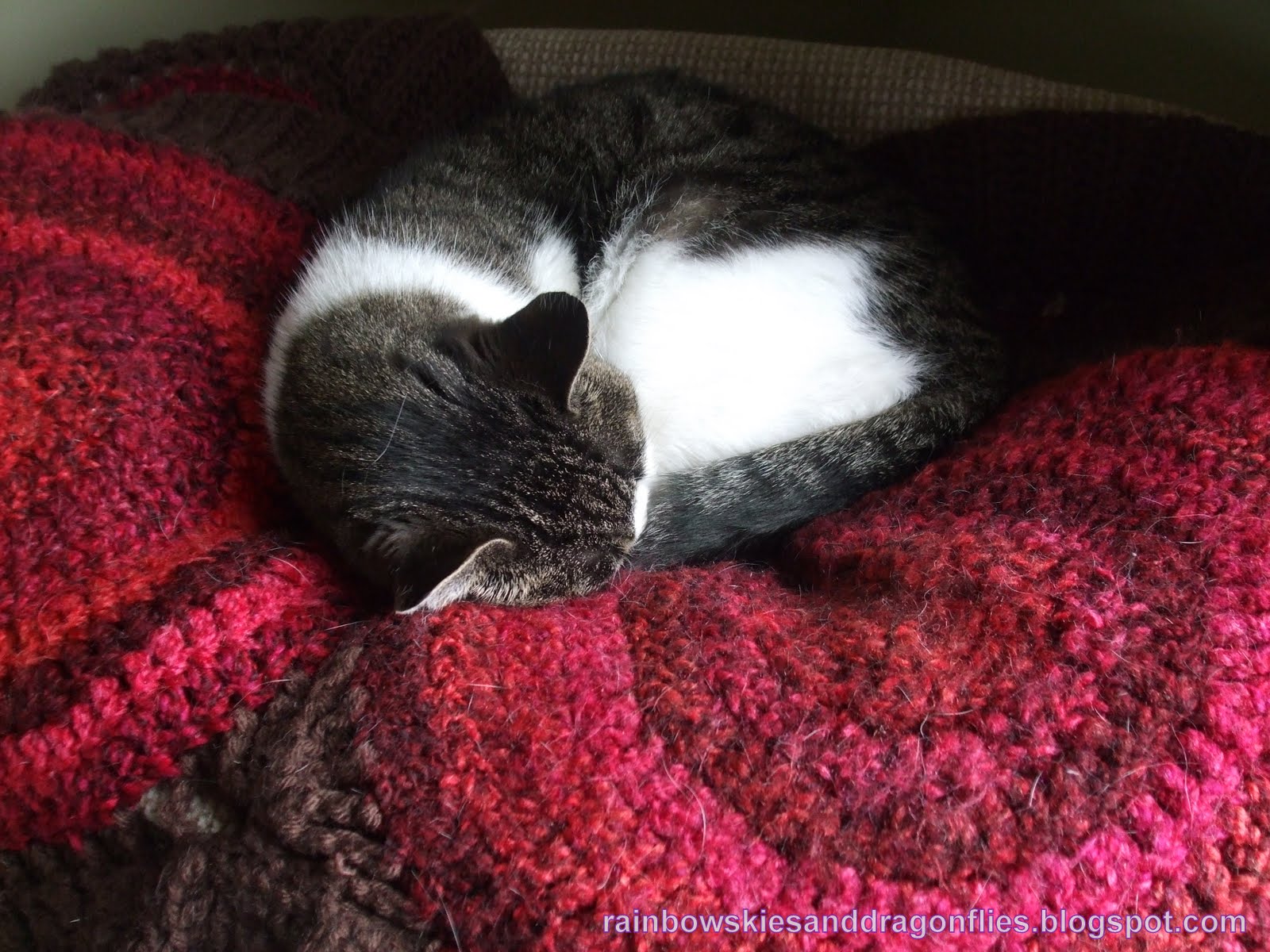 Rainbow Skies & Dragonflies: Beautiful Skies & Crochet