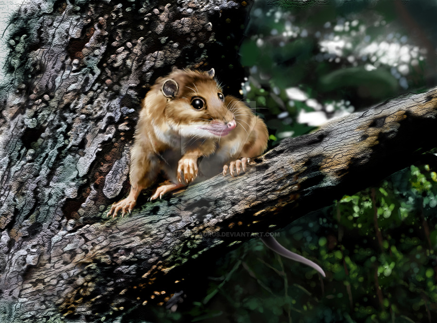 Escenarios prehistóricos: 12/01/11