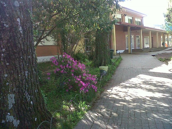 A TI MEU CAMBADOS: A ANPA OS OLMOS ORGANIZA UNHA JIMKANA E XOGOS ...