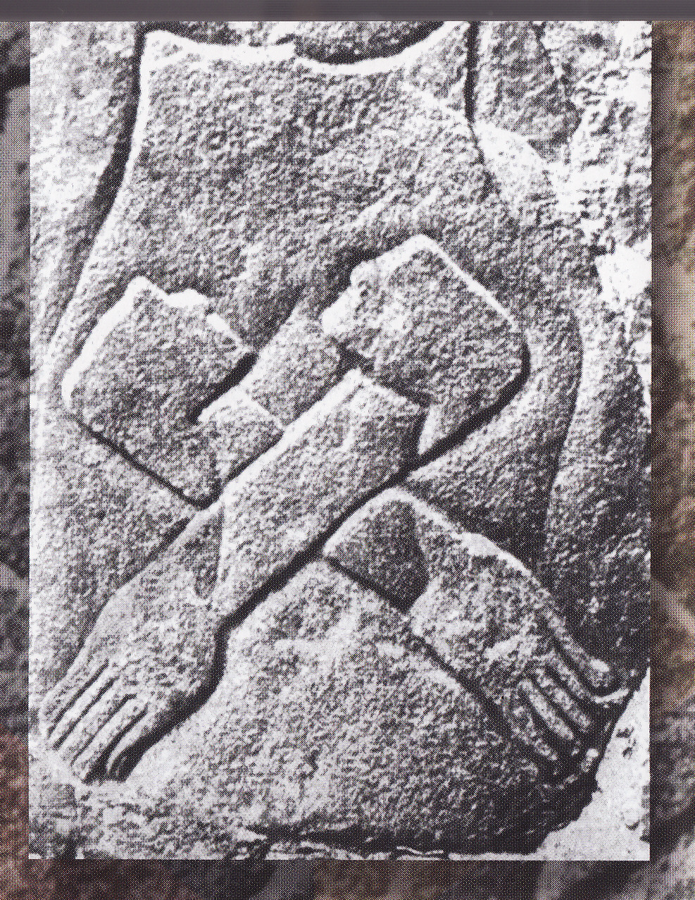 CoOrdENAdAs--: EL AYNI