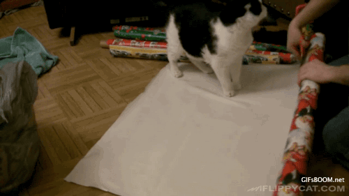 Oh, by the way...: How To Wrap A Cat