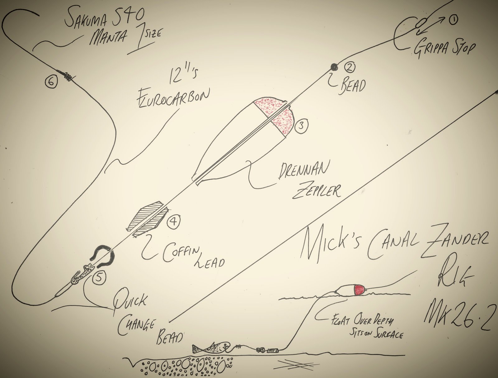 Piscatorial Quagswagging: Canal Zander Deadbait Rig - How to Catch Them
