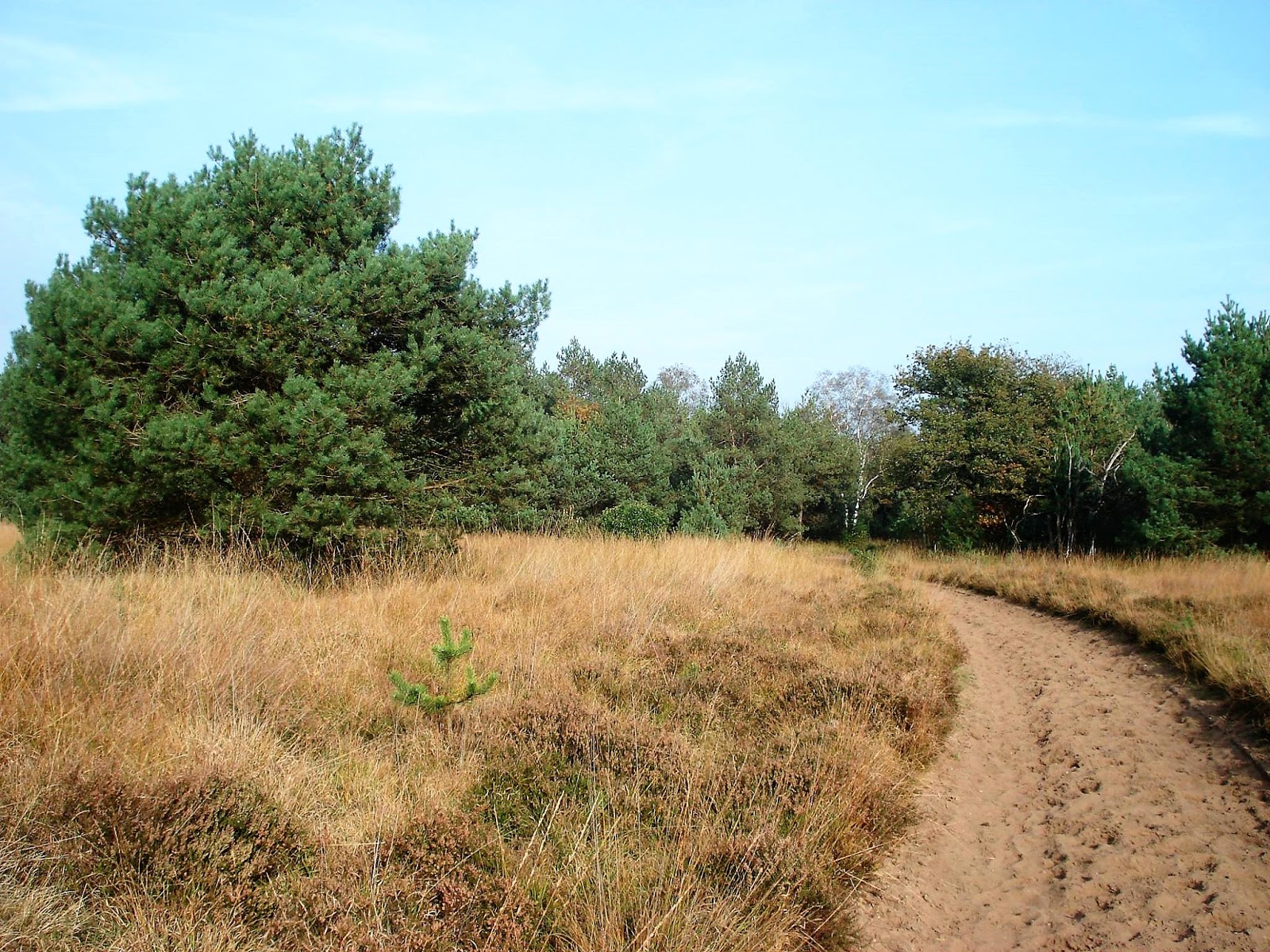Mooiste Routes: Wandelen bij Harskamp (Gelderland)