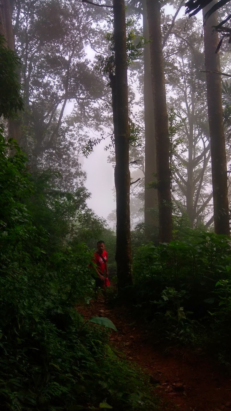 Curug Citaman, Curug Tersembunyi di kaki Gunung Salak...!!
