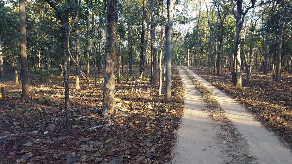 RBT - Ride on forever!: Conquering Pench in style!!!