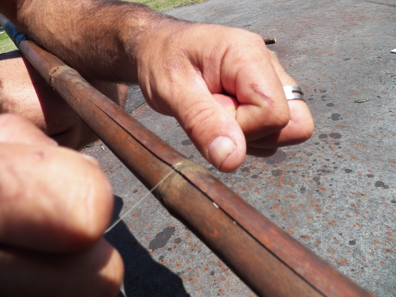 My Backyard: We made our own bamboo cane fishing poles