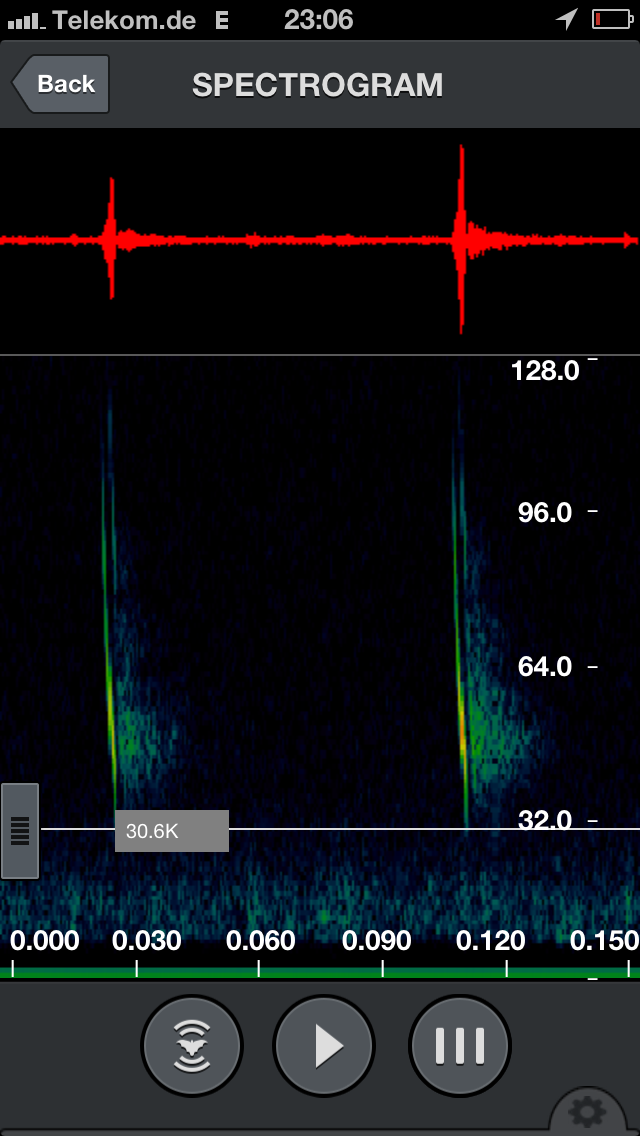 Birds & Bats: Which bat species do these spectrograms belong to?