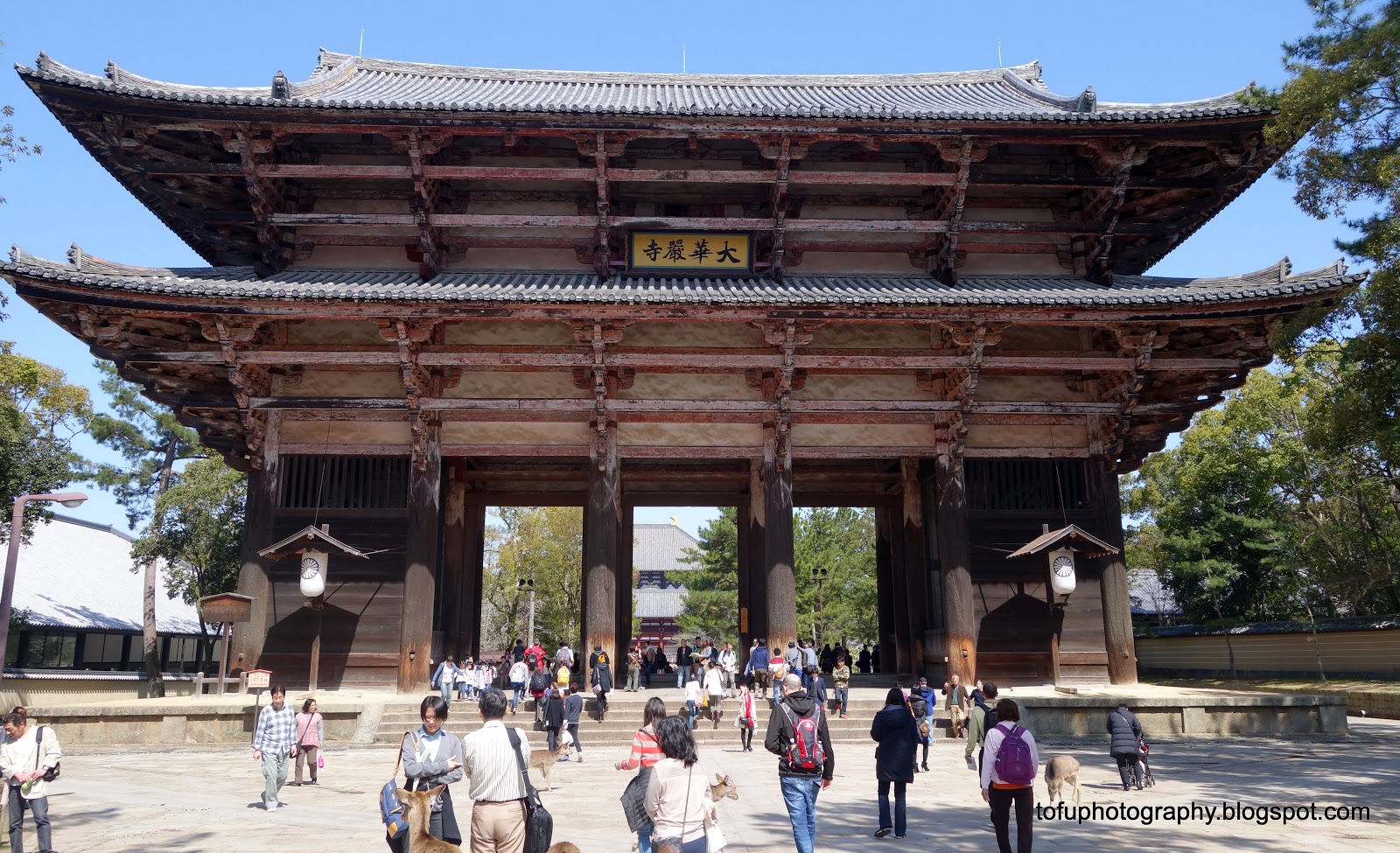 Tofu Photography: A huge wooden Nandaimon gate at The Todaiji (東大寺 ...