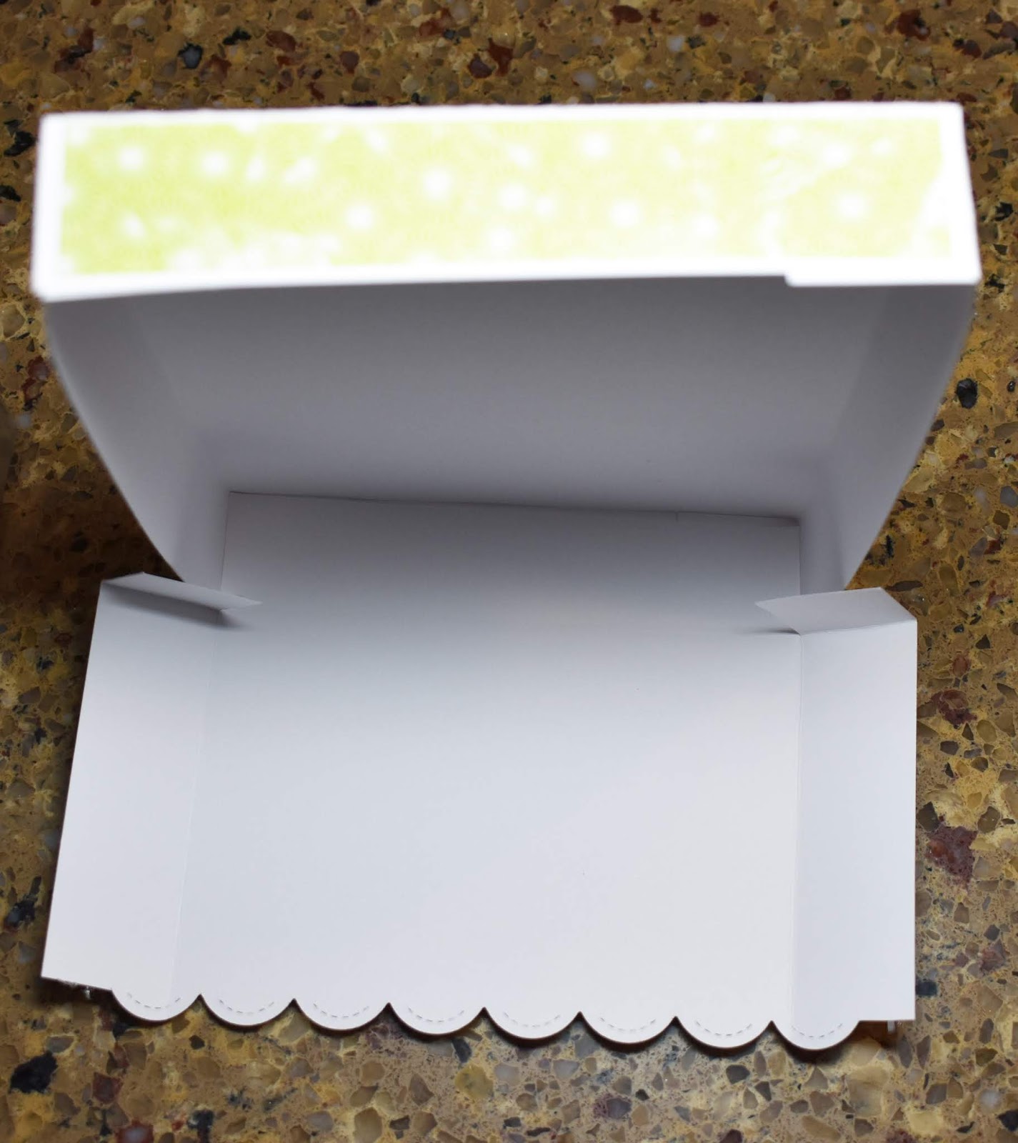 Twinshappy: Card Box Four Tutorial with Natural Beauties