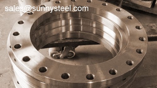 Ring Type Joint Flange