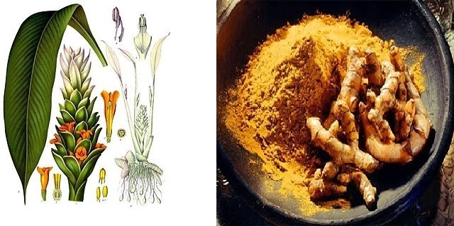 Cúrcuma ajuda a combater a inflamação do intestino - Doença de Crohn e ...
