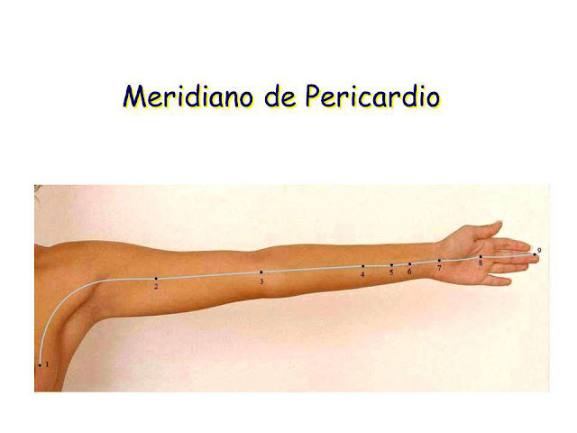 Los meridianos, vías de energía