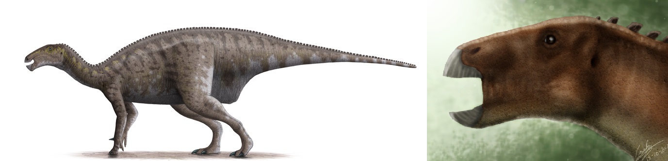 El Blog de Las Hoyas: Nuestro buen amigo el mantelisaurio