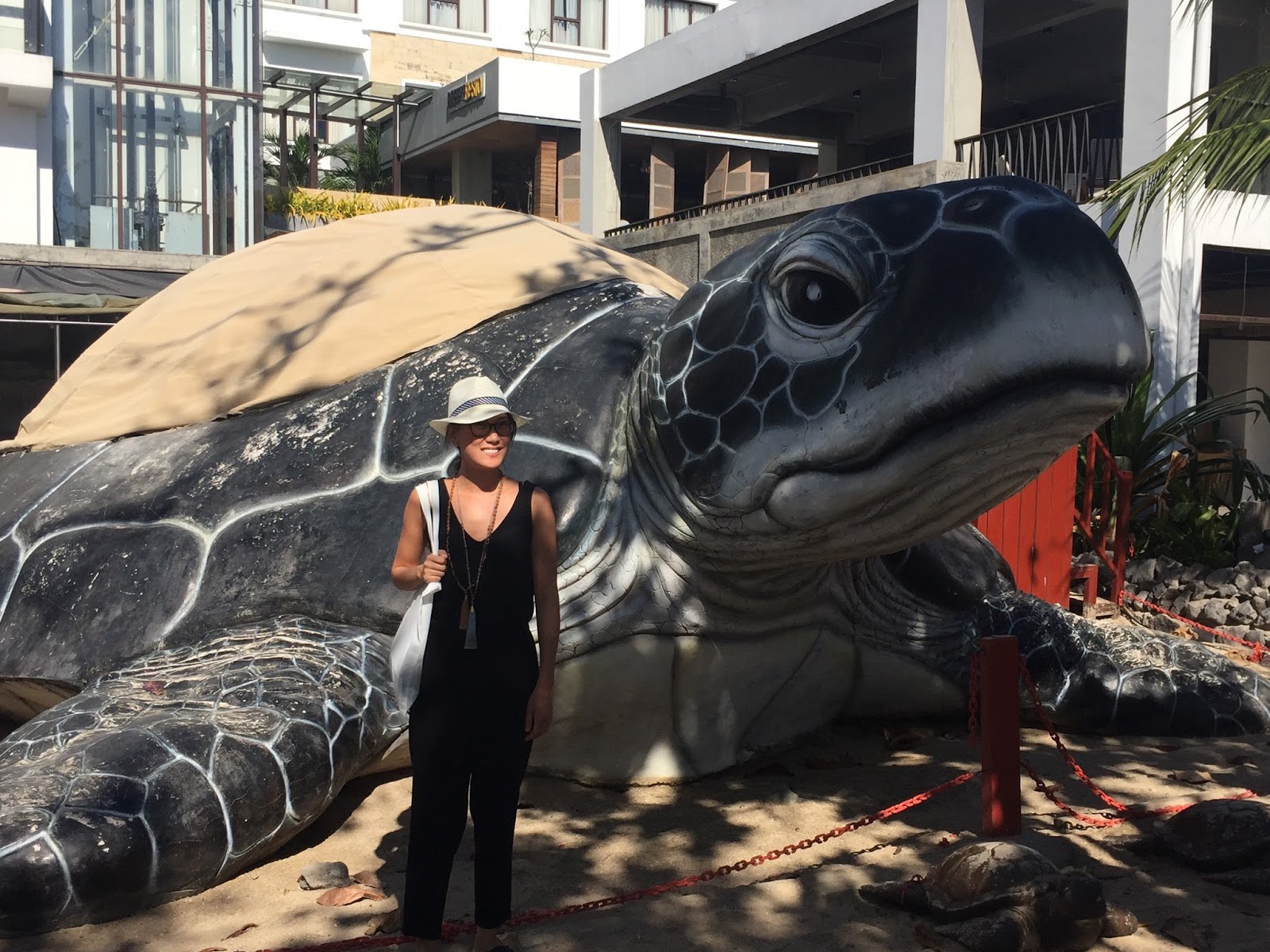 FollowTheLeBarons: Bali Sea Turtle Society