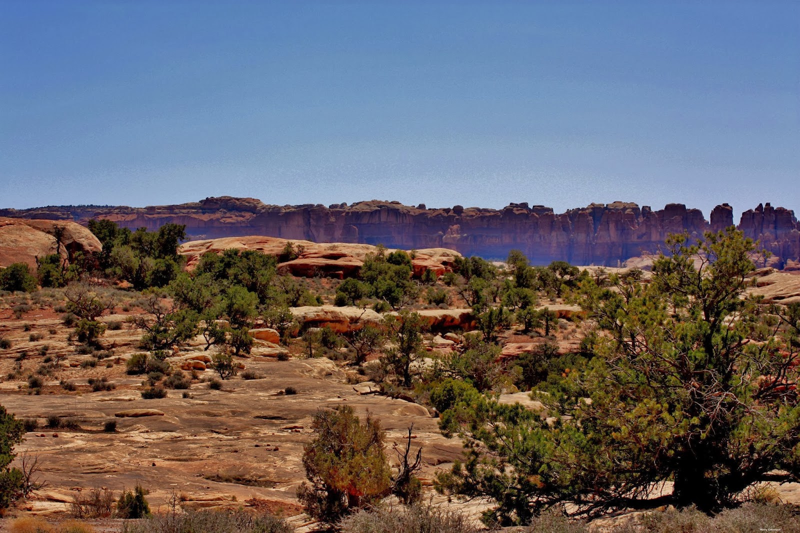 The Southwest Through Wide Brown Eyes: Canyonlands, the Needles ...