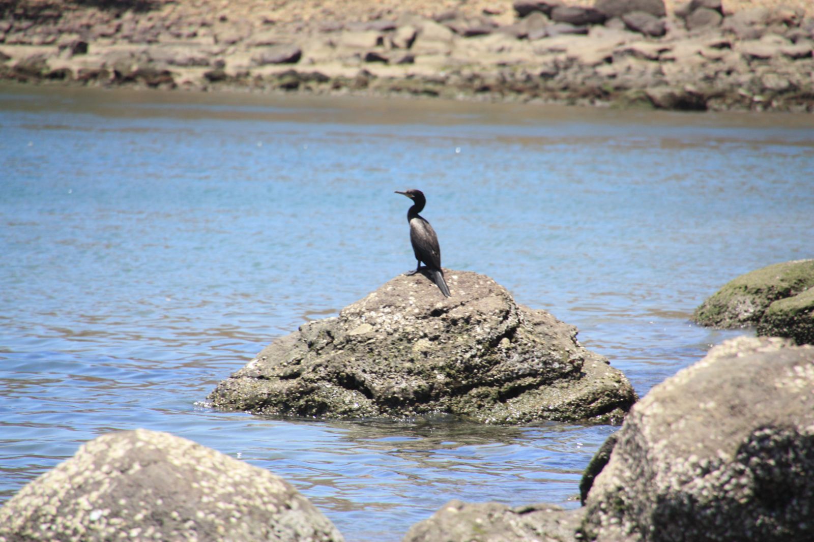 6B: Flora and Fauna - Costa Rica