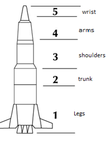 What are the optimal biomechanical principles when performing a netball ...