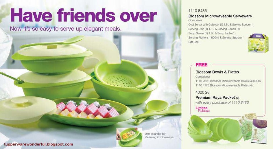 TUPPERWARE WONDERLAND: BLOSSOM MICROWAVABLE SERVEWARE