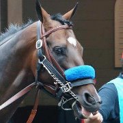 Let's Go To The Races: Paynter: Story behind Story