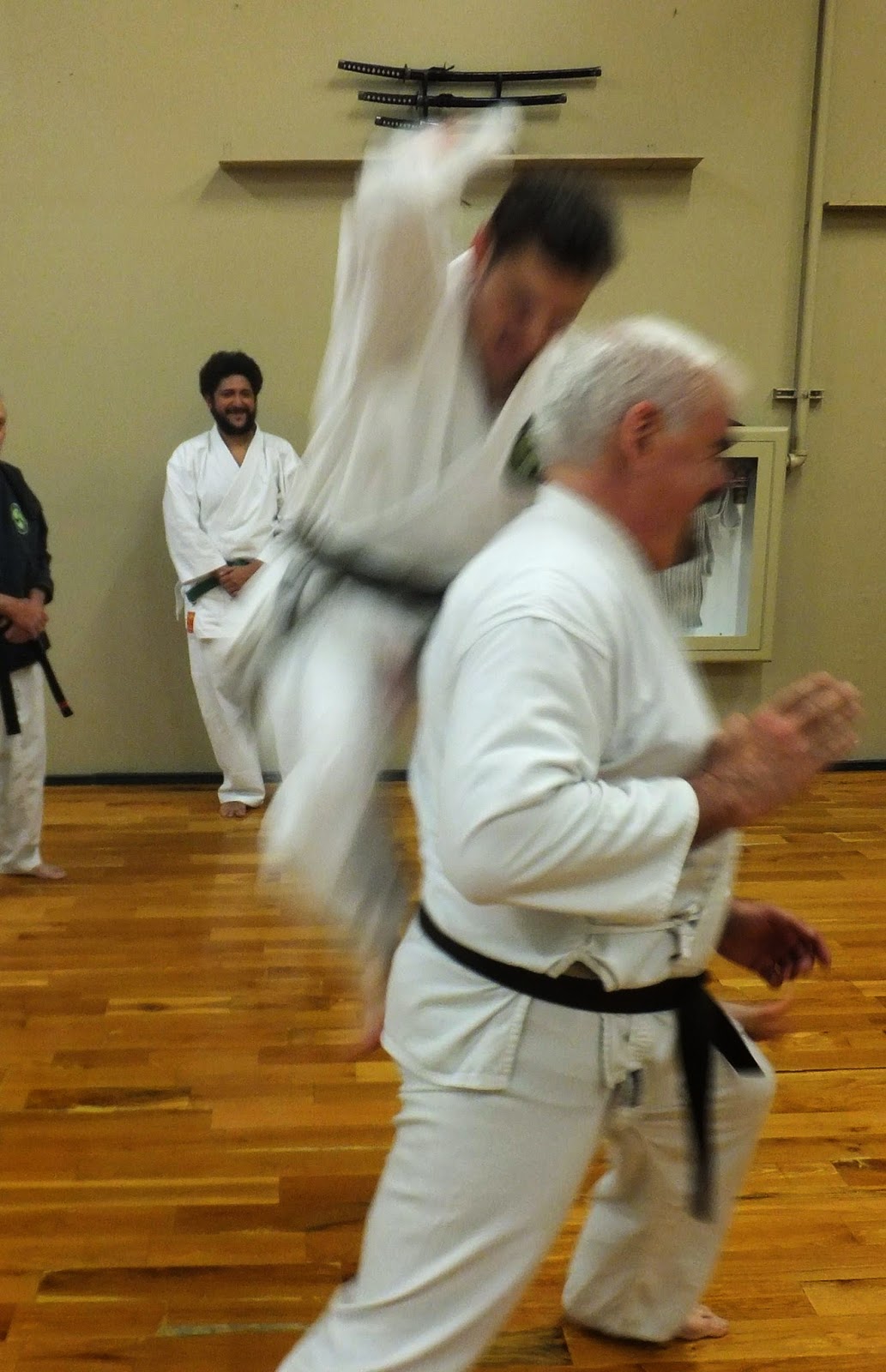 KARATE & KOBUDO KATA - Living Encyclopedias of Self-Defense: Meikyo and ...