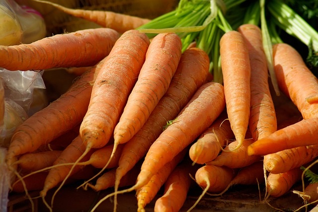 CARA MENANAM / BUDIDAYA WORTEL | Pertanian