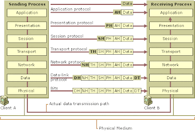 Data Flow in the OSI Model ~ Learn Networking