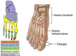 pilates-espai7Bcn: Fortalece tus pies