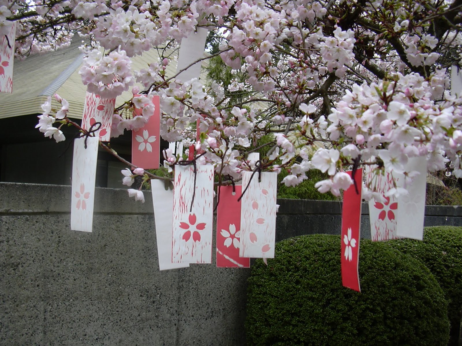 Welcome Jan Irving with Loving Kindness - Tara Lain