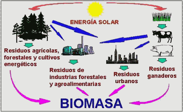 ReSpEta NuEsTrO mUnDo PoRqUe Es De ToDoS: Biomasa