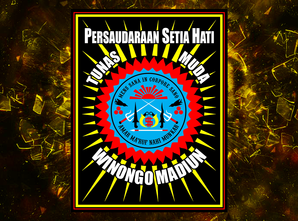 ARTI LAMBANG PSHW WINONGO | Official Pencak Silat Indonesia - Pencak ...