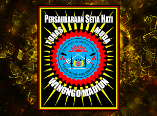 ARTI LAMBANG PSHW WINONGO | Official Pencak Silat Indonesia - Pencak ...