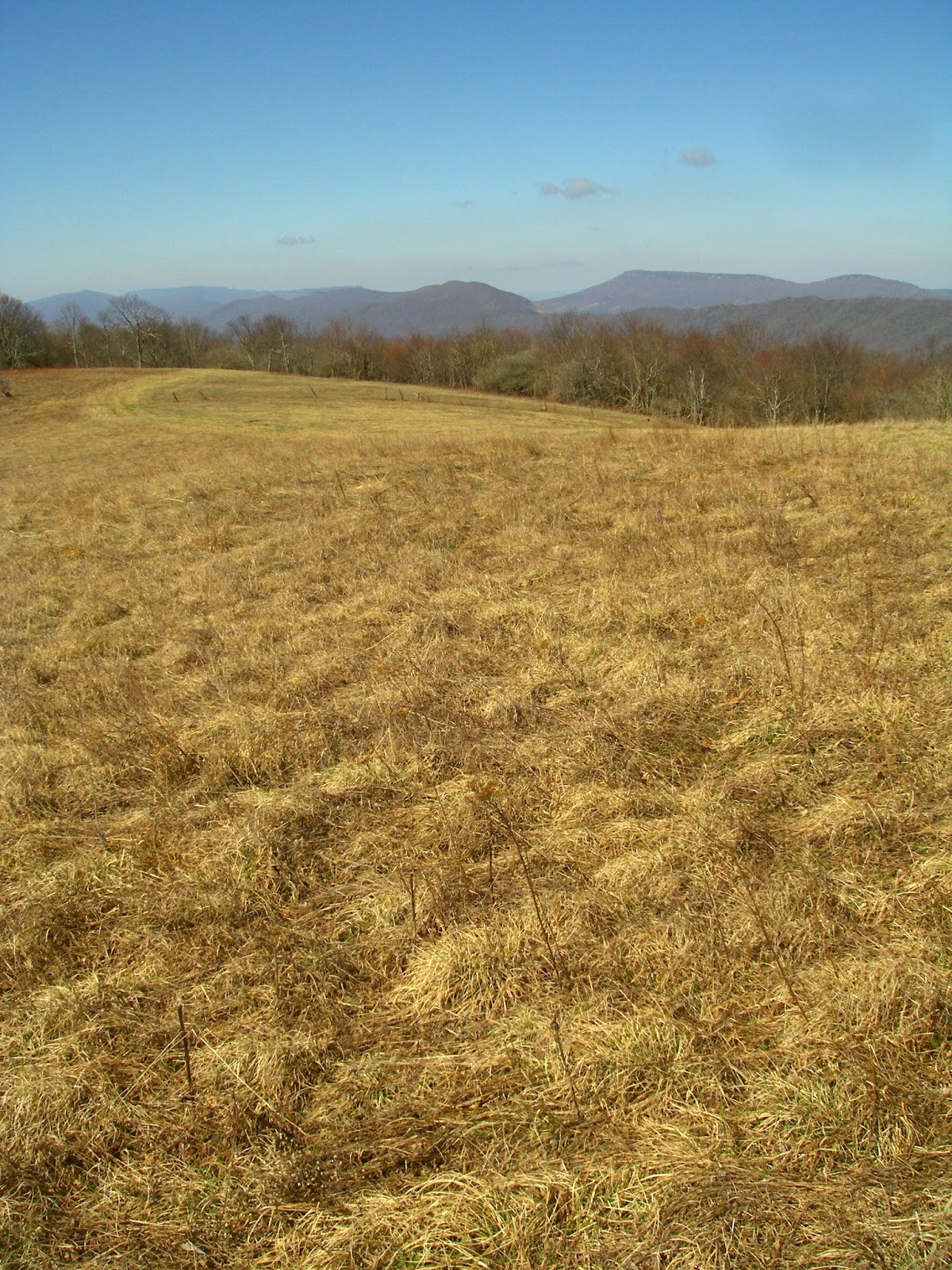 Peaks & Paths: Chestnut Ridge - Lonely Mountain Meadows