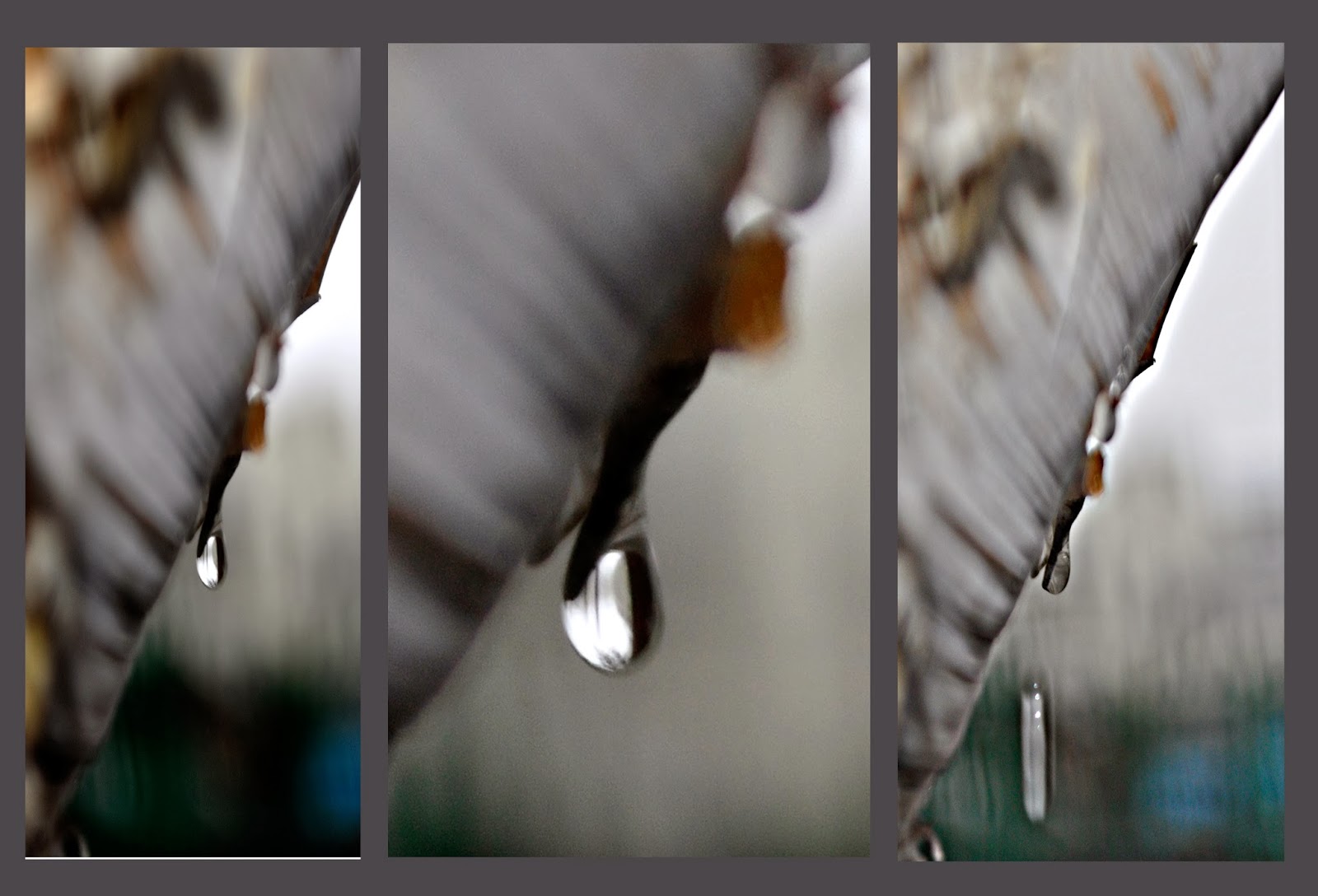 top of the maintain: rain drops, abstracts of objects