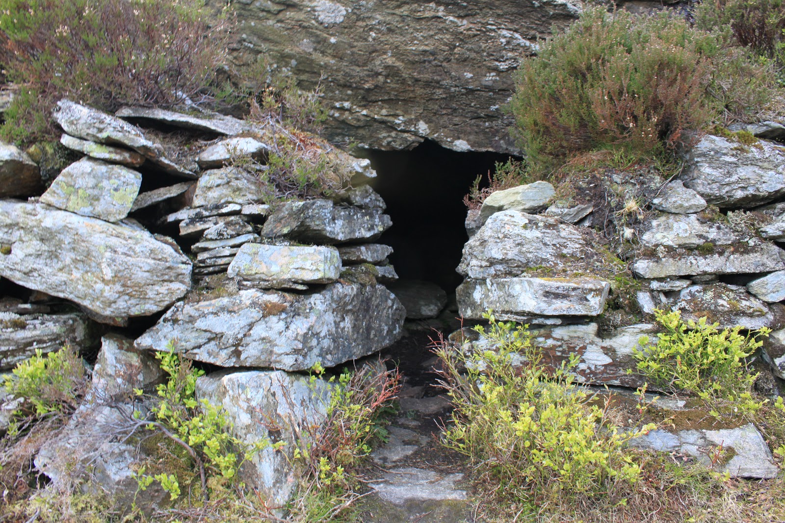 Walking in the North East of Scotland: In Search of Balnamoon's Cave