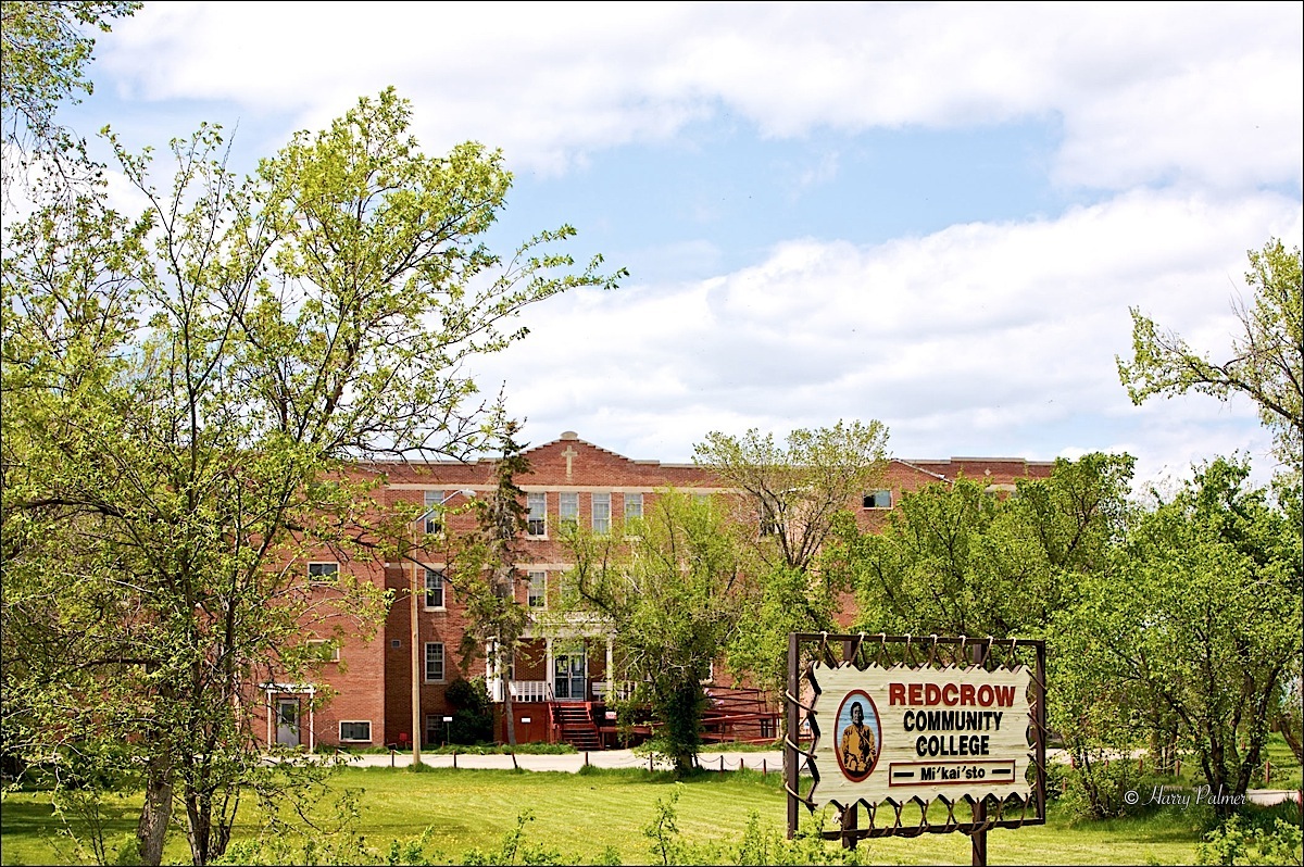 prairiemary: NATIVE PLANTS v. TUMBLEWEEDS