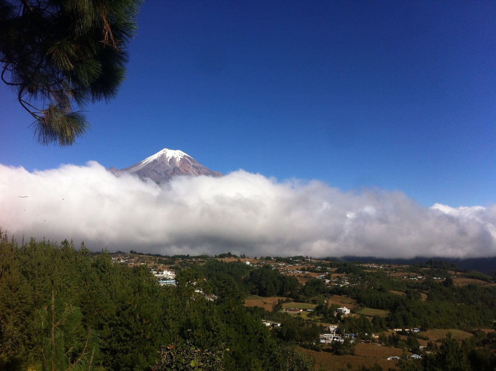 Senderos y Montañas de Veracruz: El Cerro Azul
