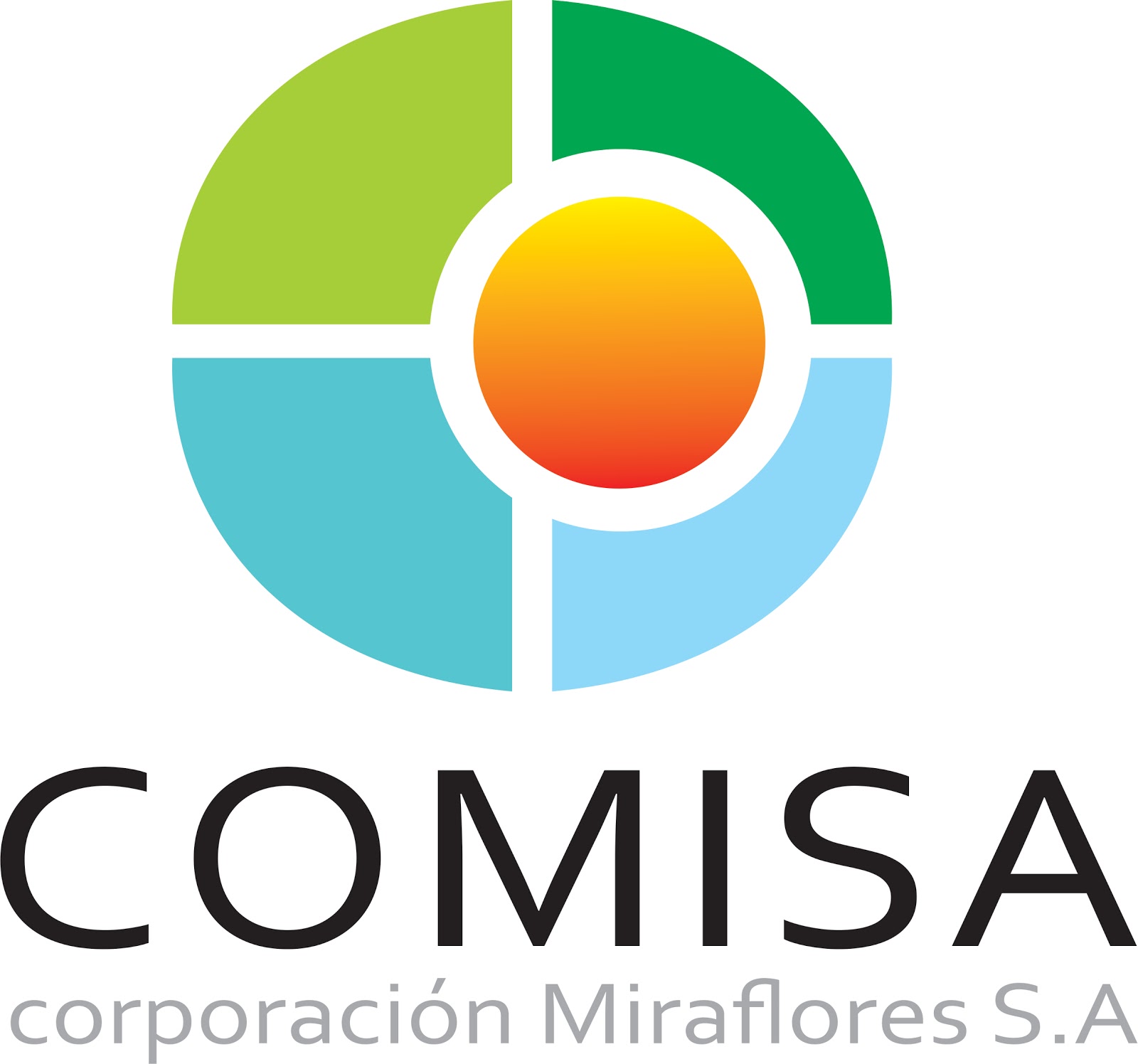 CORPORACIÓN MIRAFLORES S.A.: 2012