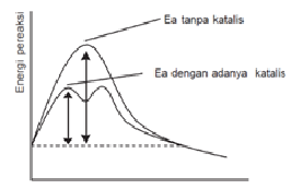 KATALIS - SAINTECH BLOG