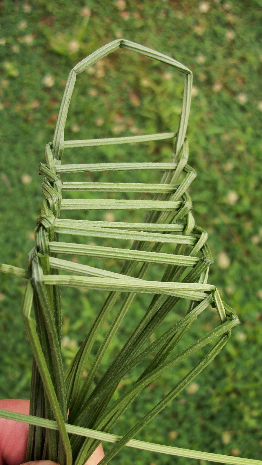 Henny Penny Lane: A Grasshopper Trap??