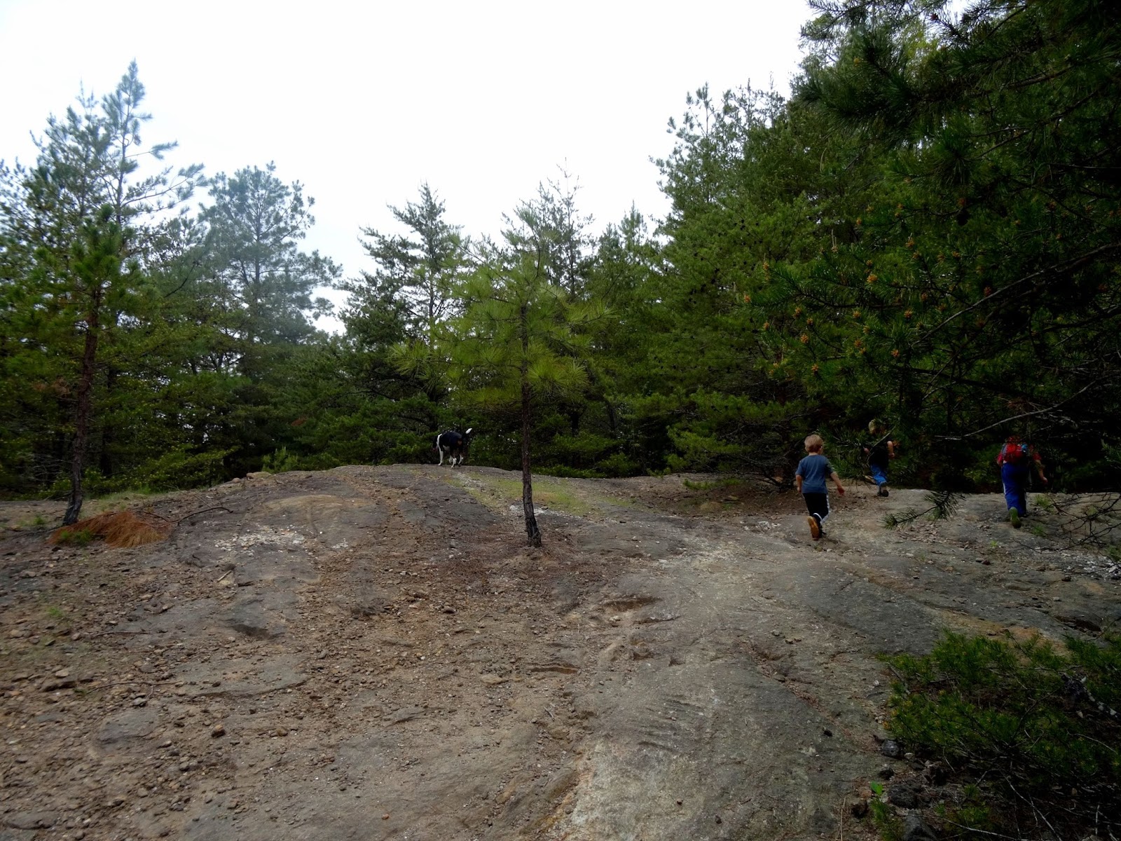 Femme au foyer: Your guide to Lake Conestee Nature Preserve