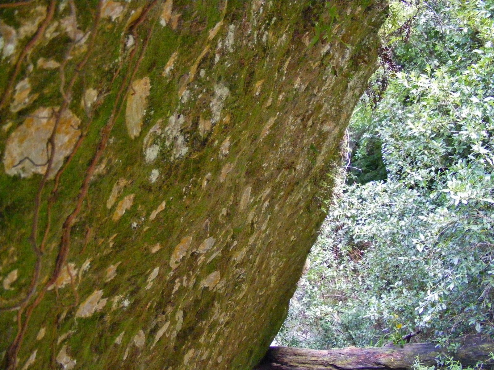 Erin's Ever After: Patuna Chasm Farm Adventure